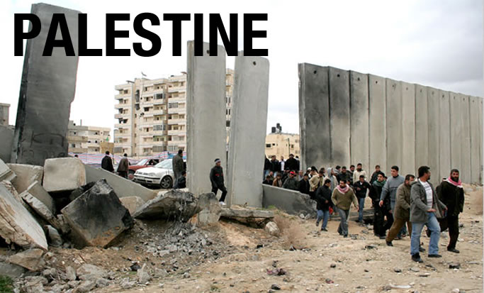 Palestine | CESR